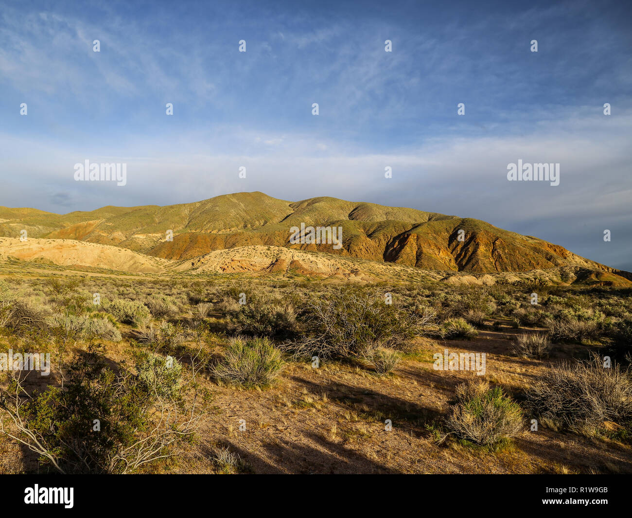Arid desert terrain hi-res stock photography and images - Alamy