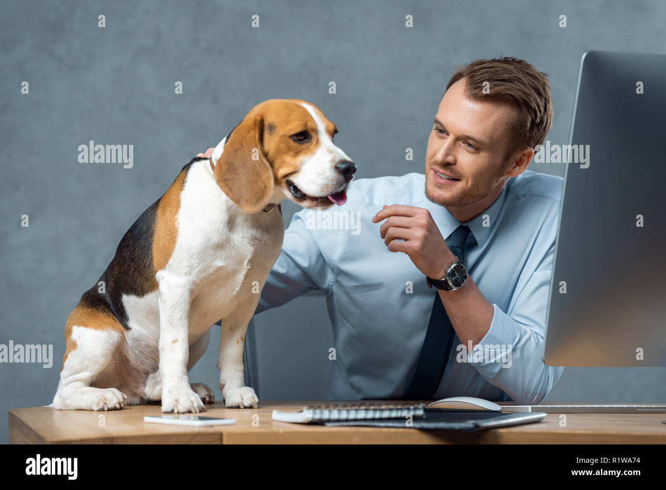 Happy workplace animal hi-res stock photography and images - Alamy