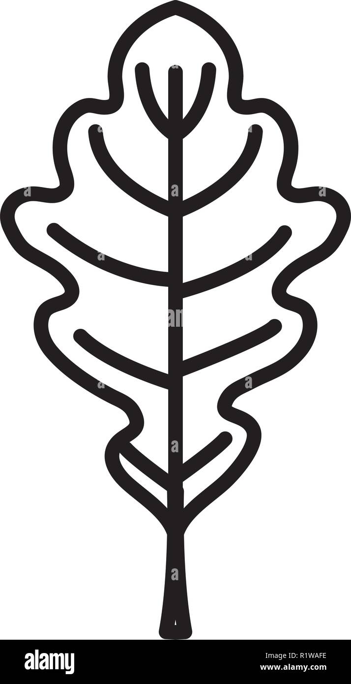 dry leaf icon over white background, vector illustration Stock Vector ...