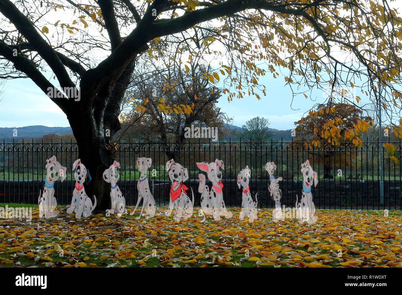 Dalmations hi-res stock photography and images - Alamy