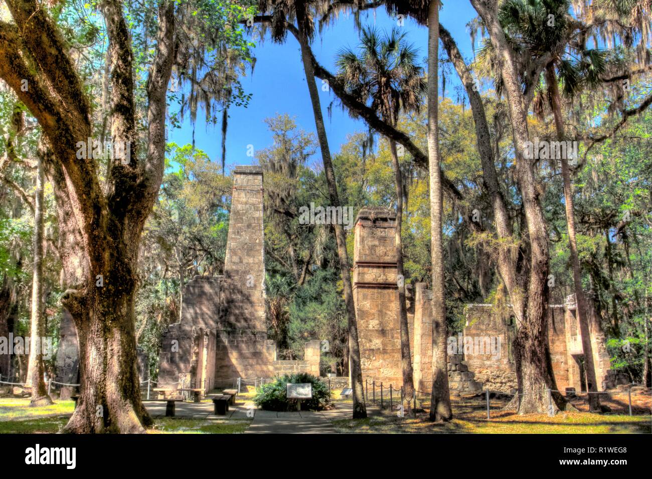 Bulow Plantation ruins, Florida Stock Photo - Alamy