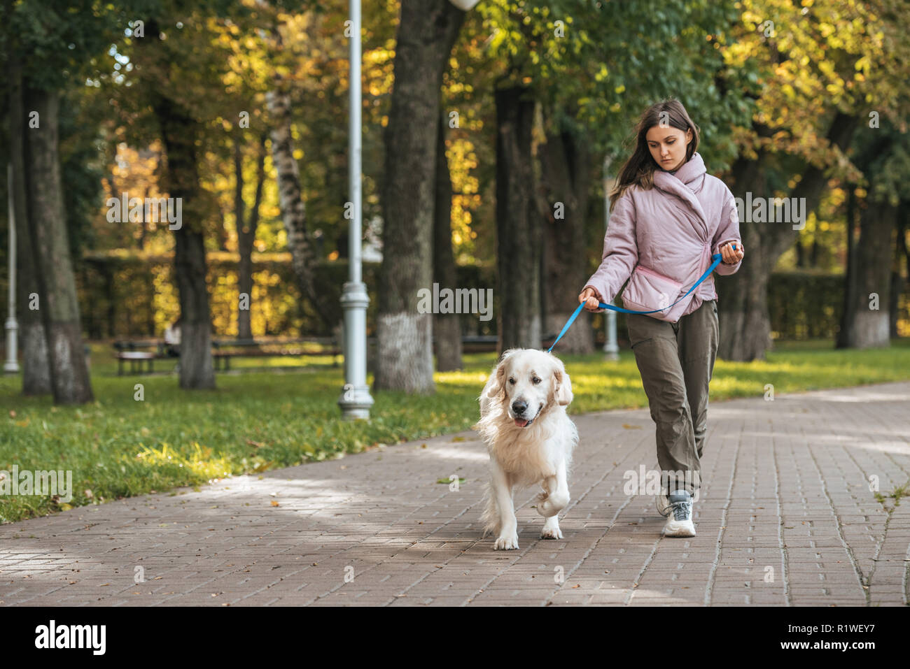 Dog guide park hi-res stock photography and images - Alamy