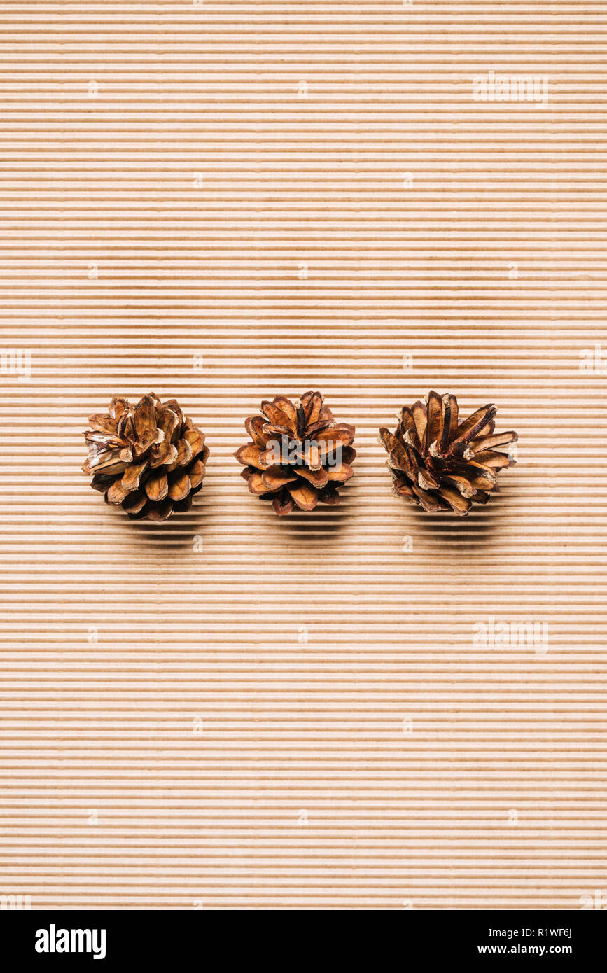 top view of three pine cones on the textured background Stock Photo - Alamy