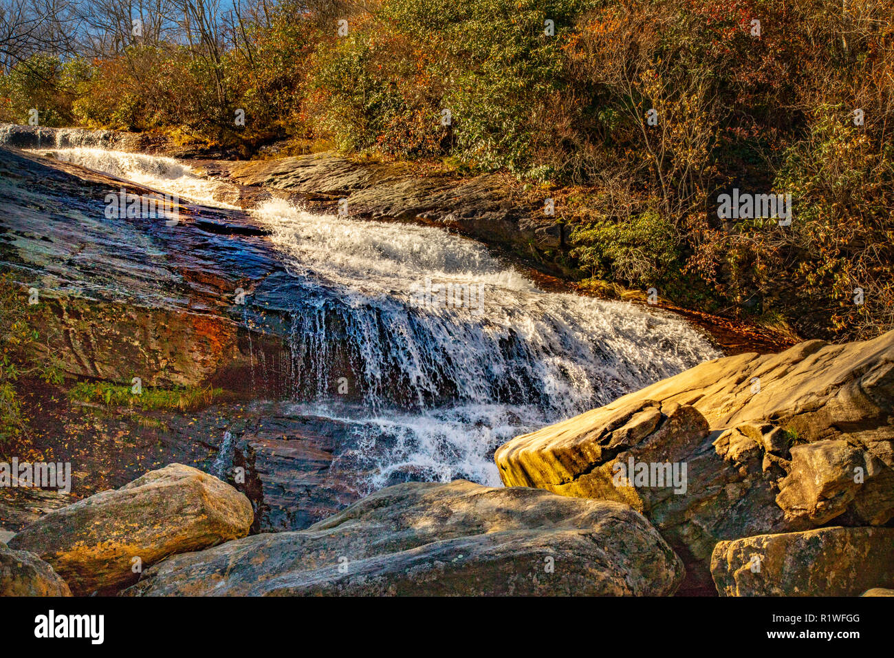 Graveyard Fields a short hike down the Blue Ridge Parkway, Asheville ...