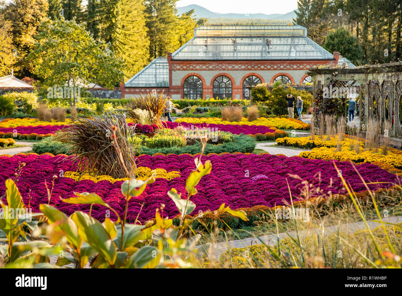 Gardens and floral in fall at Biltmore Estate, large private estate ...