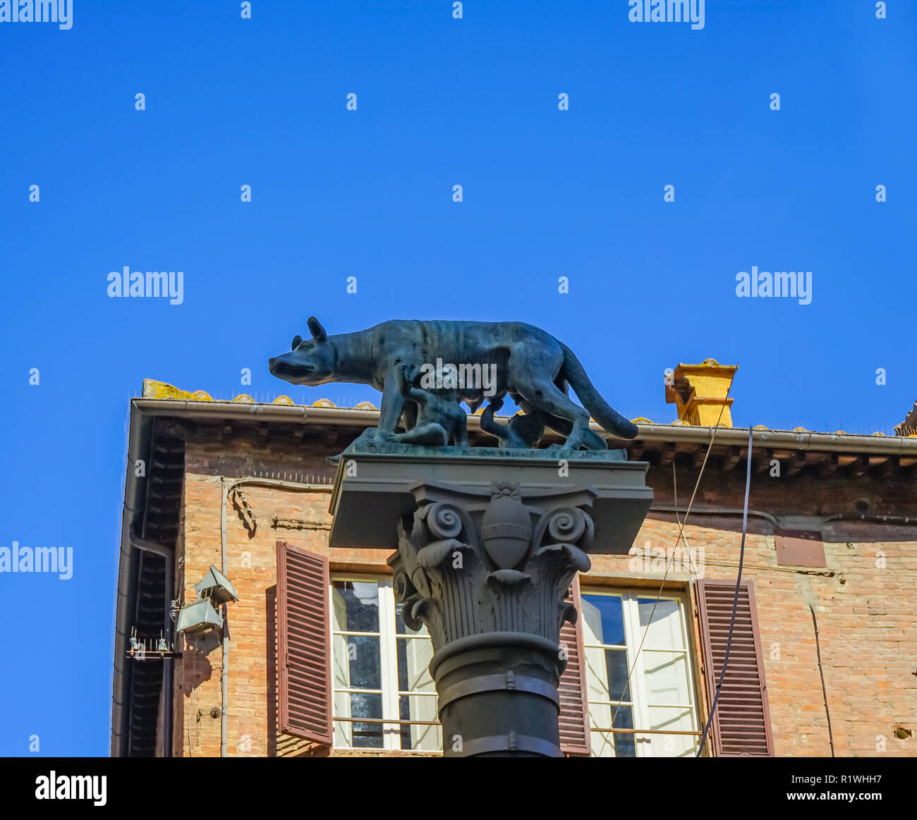 Roman Wolf Statue Cathedral Church Square Siena Italy. Roman Wolf ...