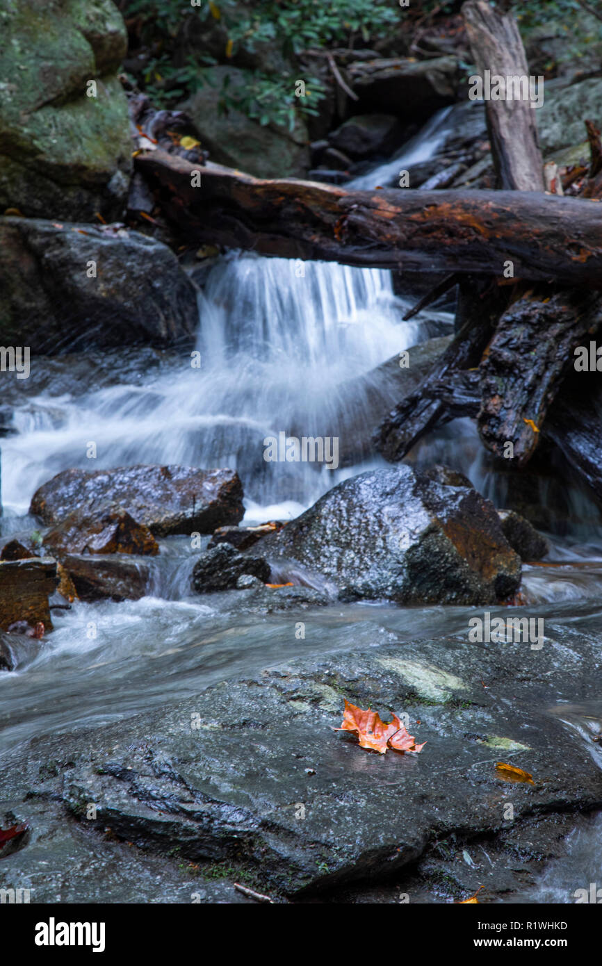 Catawba Falls Trail east of Asheville North Carolina hiking trail ...