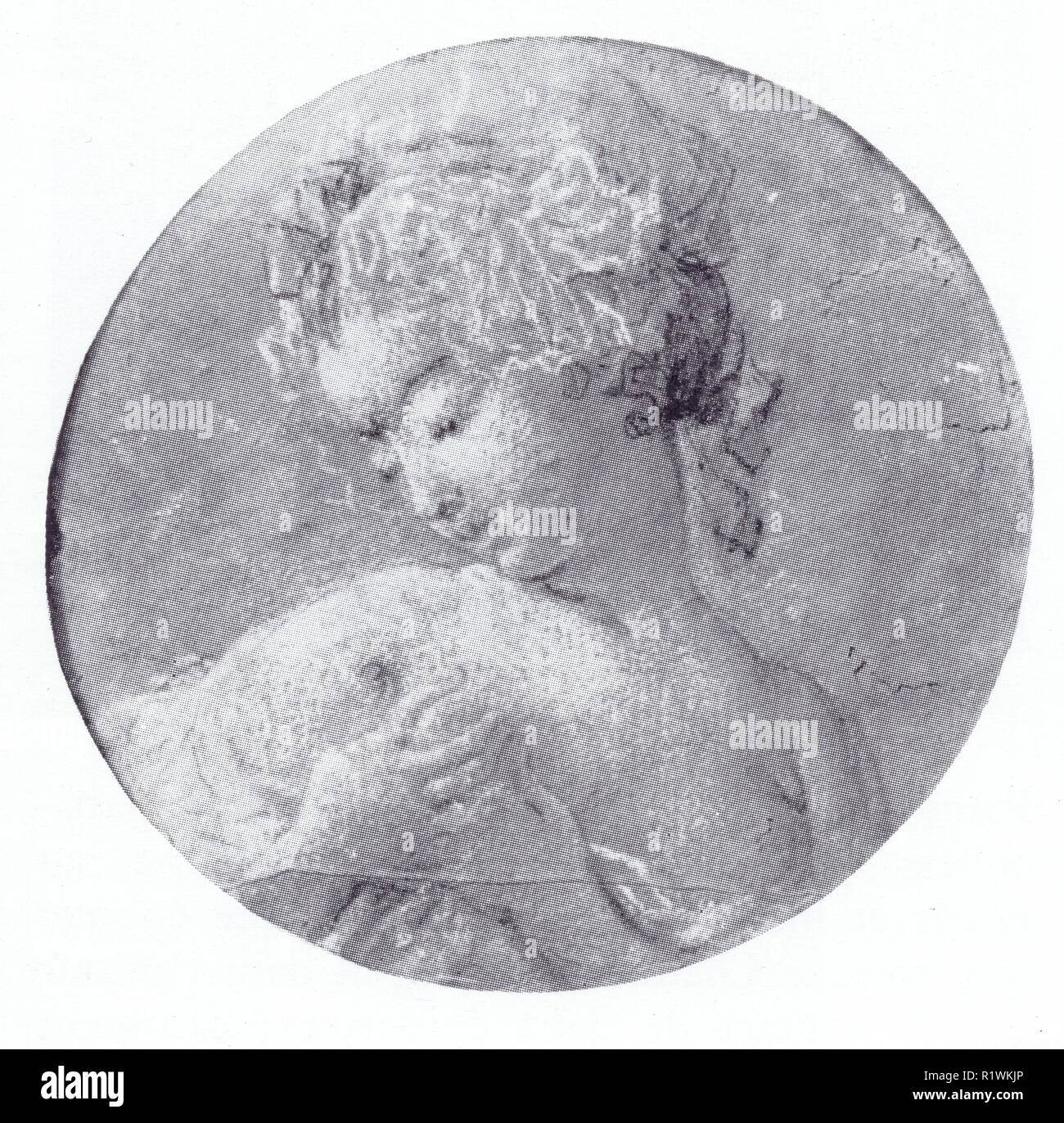 By the se Cut Out Stock Images & Pictures - Alamy