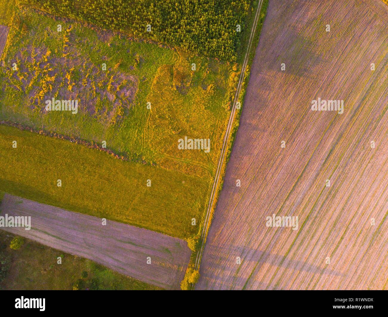 Top down view of farmland. Polish golden light landscape Stock Photo ...