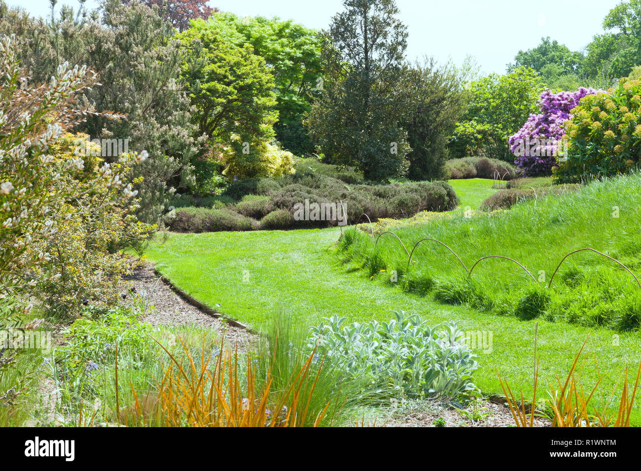 Grassy path through green meadows, shrubs and trees in a summer garden ...