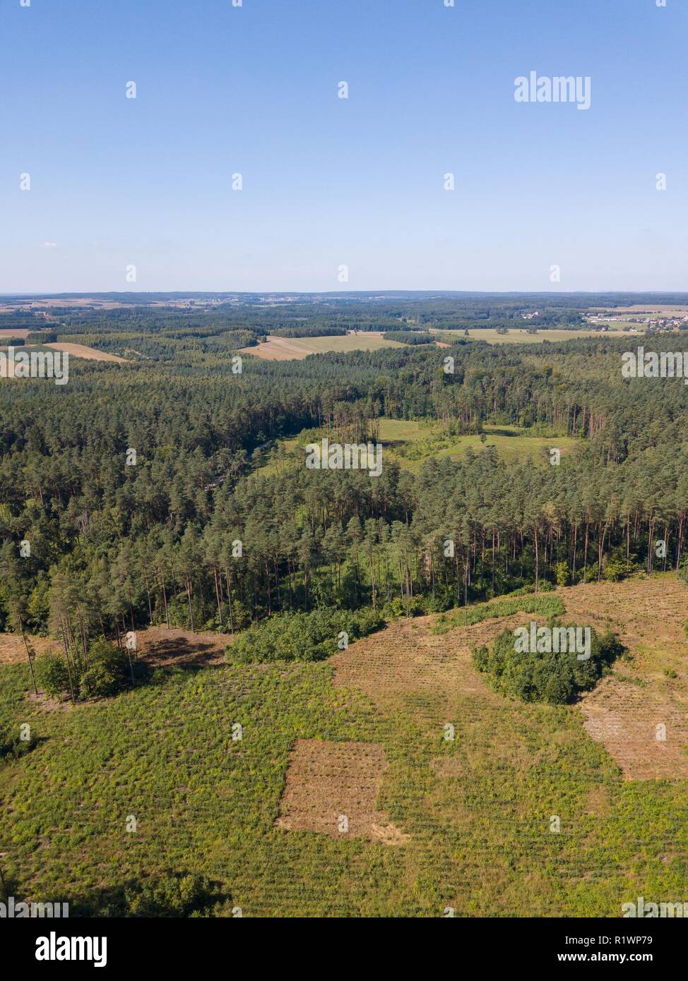 Forest seen from above. Drone landscape with European forest Stock ...