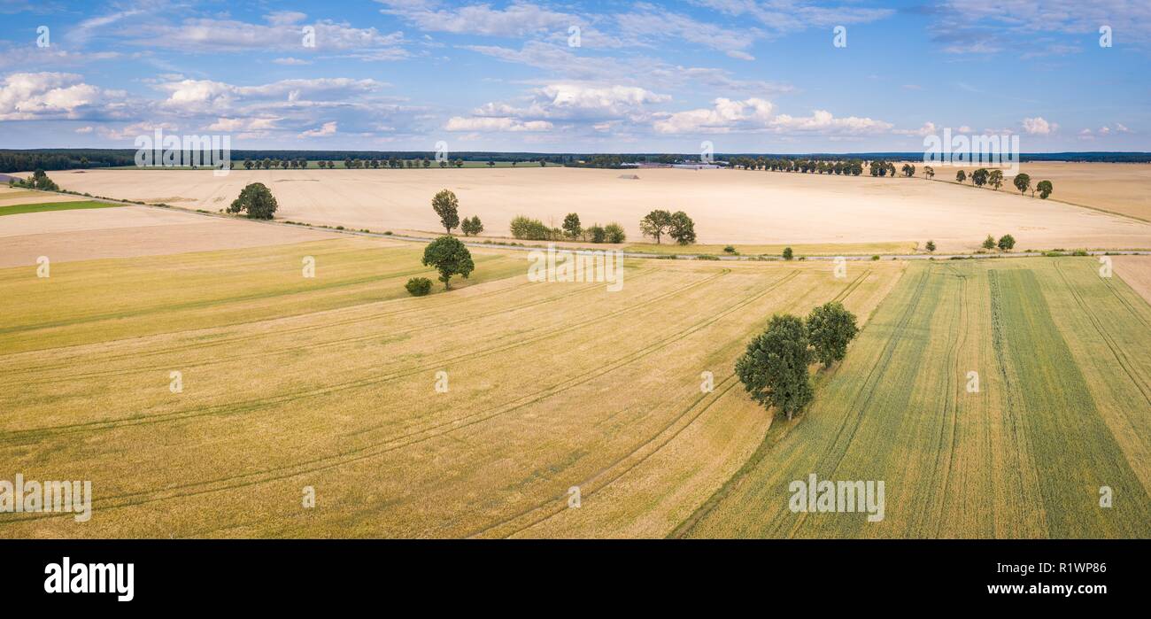 Beautiful summer fields from above. Drone photography of summer polish ...