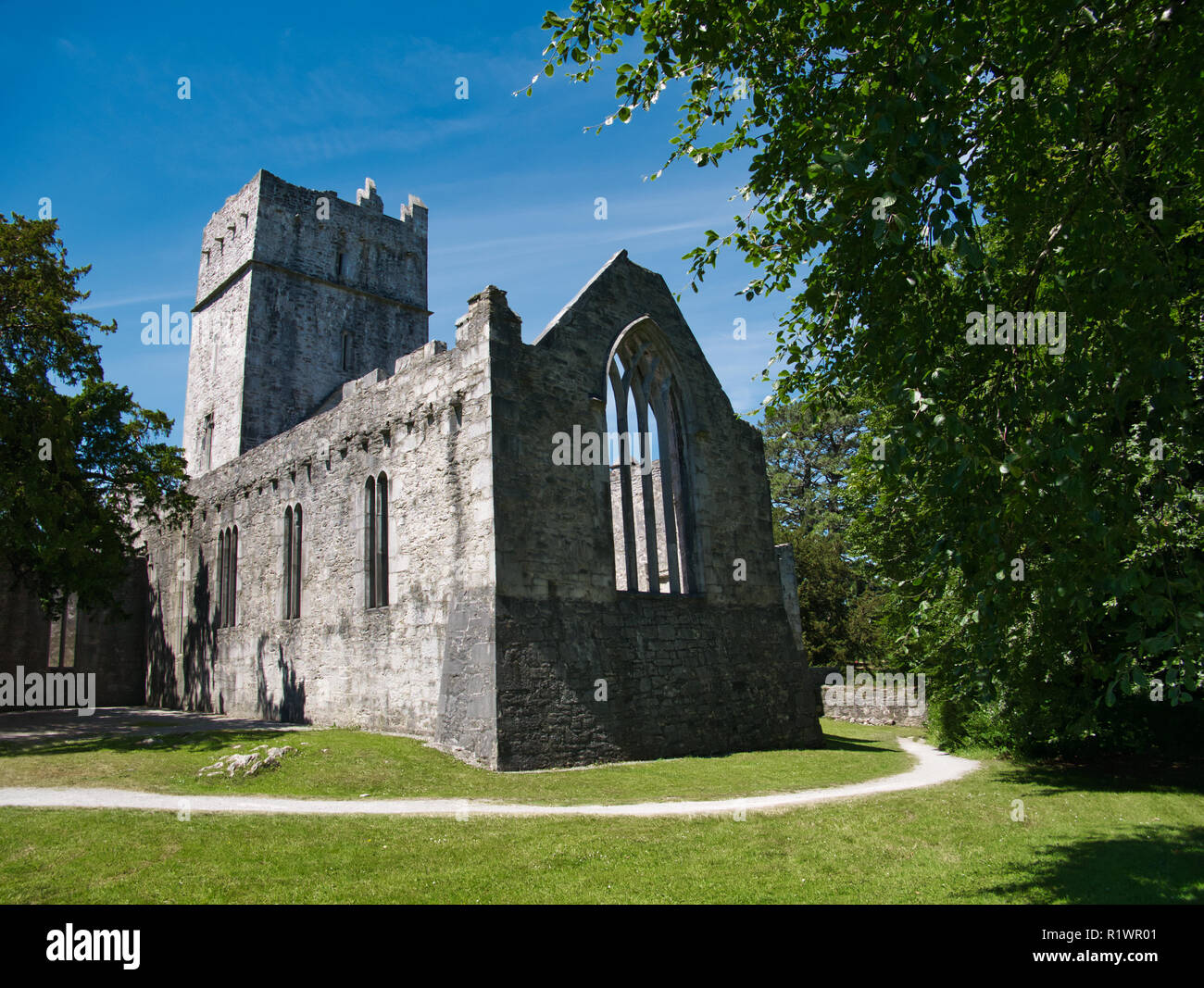 Muckross abbey tree hi-res stock photography and images - Alamy