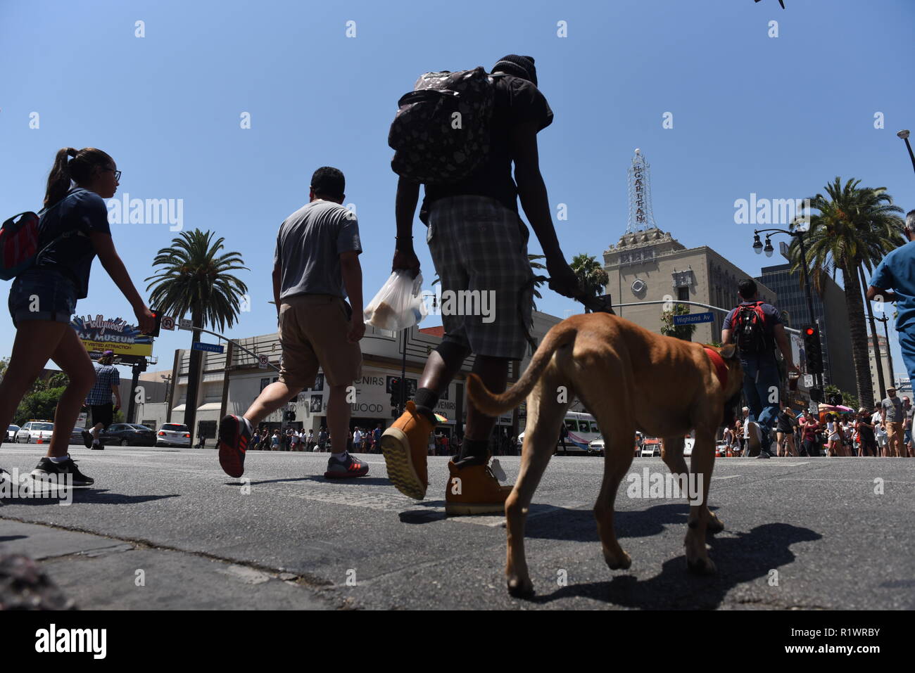 Low level view point viewpoint hi-res stock photography and images - Alamy