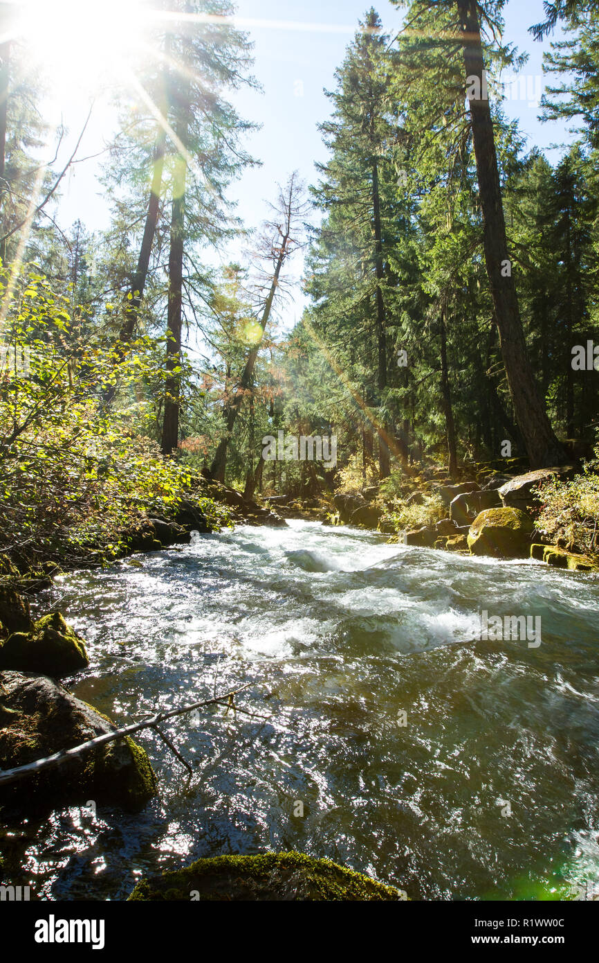 Section of the Rouge River in southern Oregon flowing thru lava rocks ...