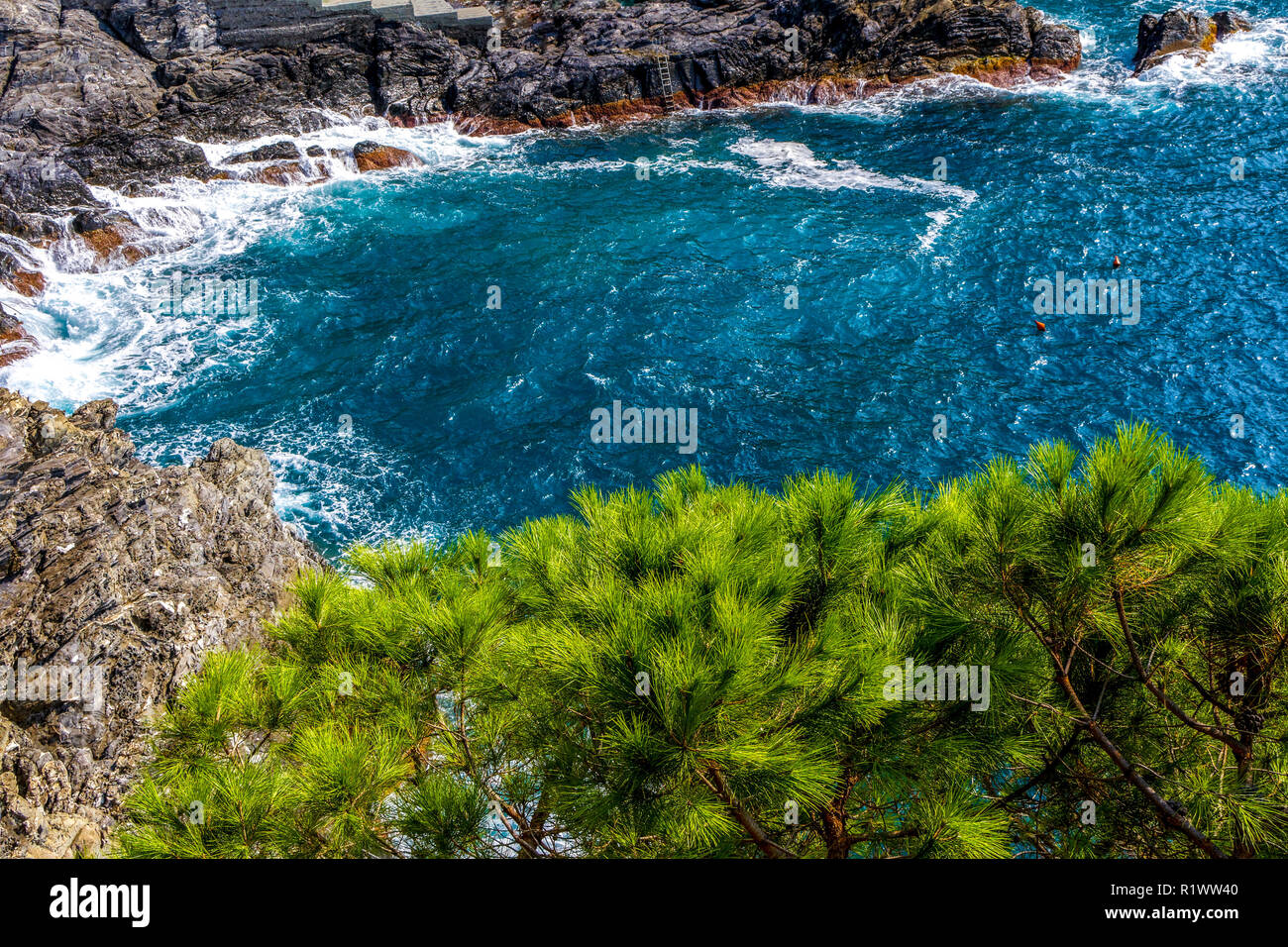 Manarola seaside view from above Italy Stock Photo - Alamy