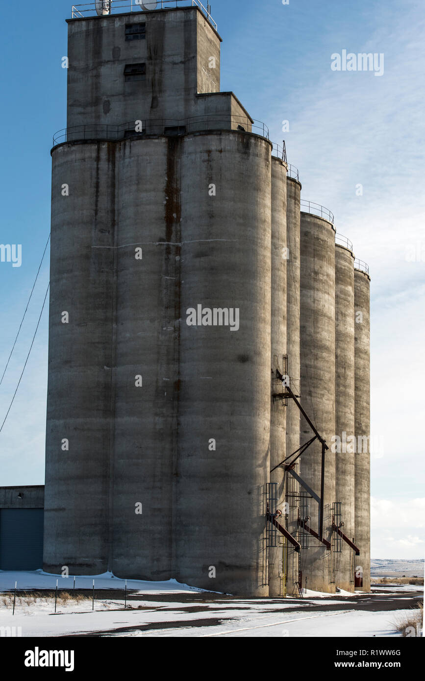 Grey concrete circular storage tubes of a grain silo and elevator with ...