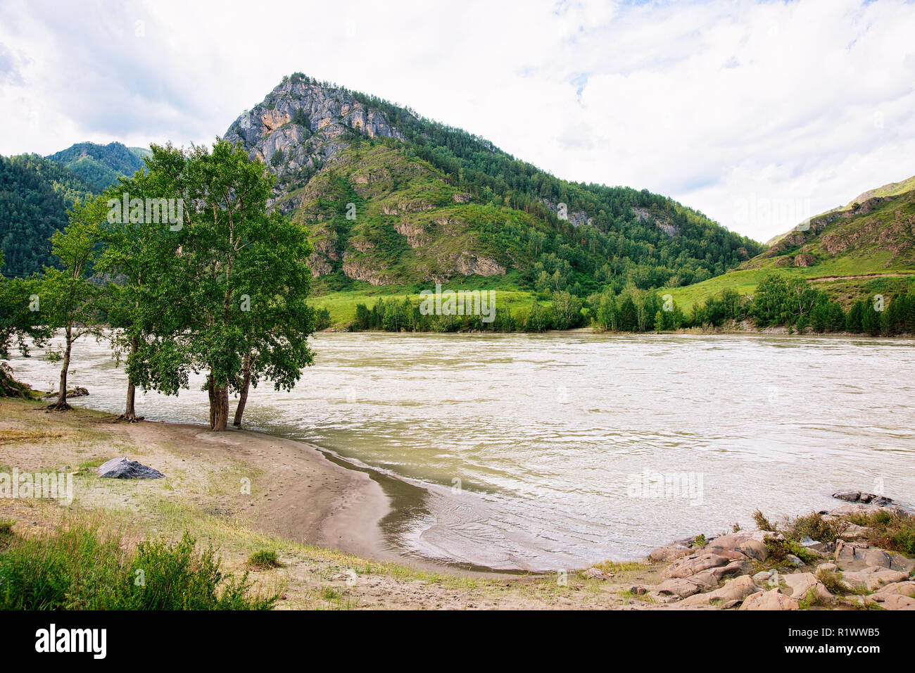 Nature of Altai mountains and Katun River, Siberia in Russia Stock ...