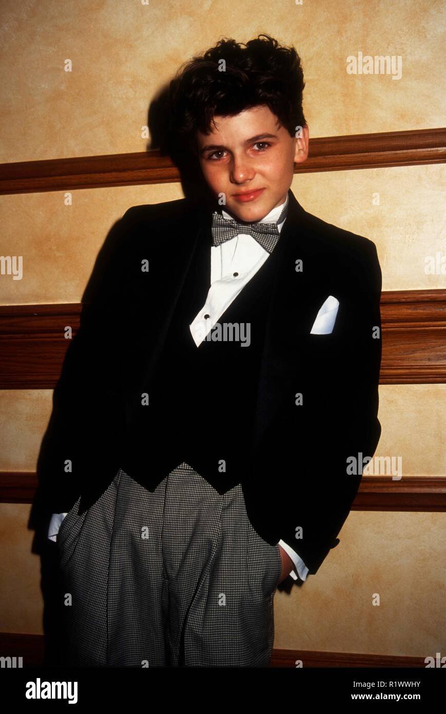 STUDIO CITY, CA - JANUARY 16: Actor Jeremy Jackson attends the 14th ...