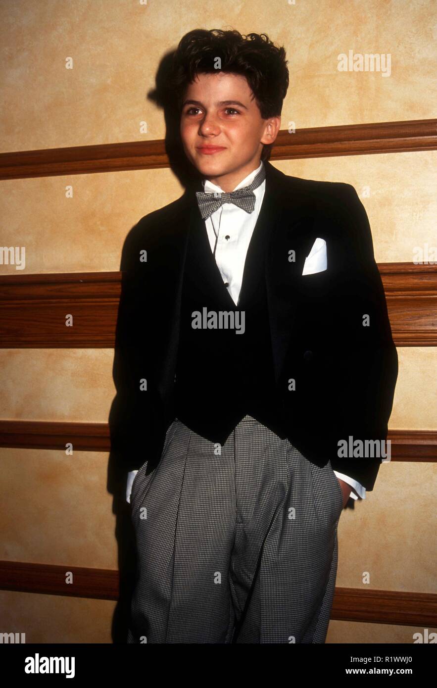 STUDIO CITY, CA - JANUARY 16: Actor Jeremy Jackson attends the 14th ...