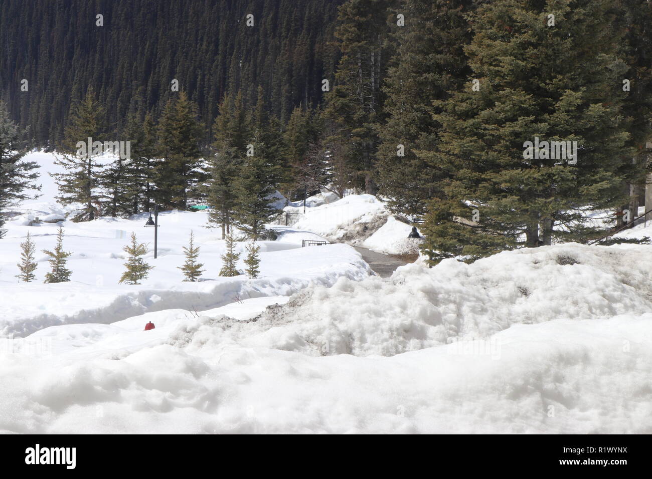 Canada in April light Stock Photo - Alamy