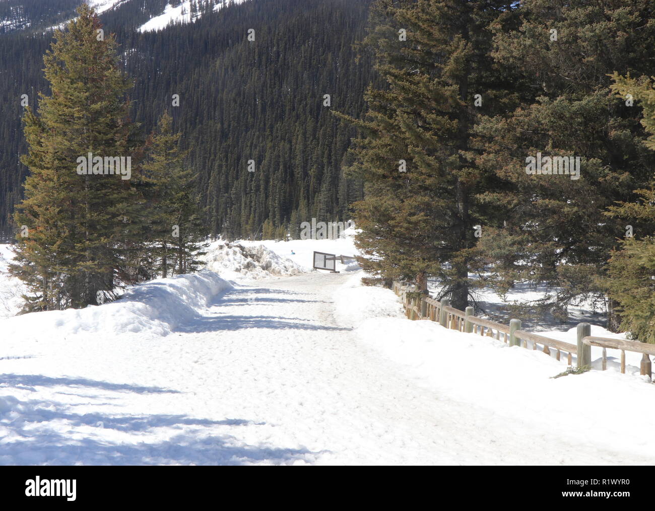Canada in April light Stock Photo - Alamy