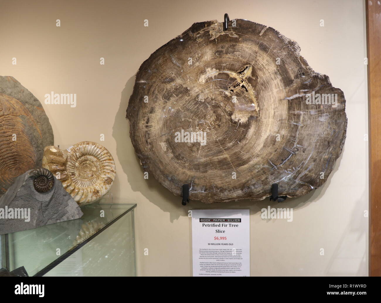 April light hi-res stock photography and images - Alamy