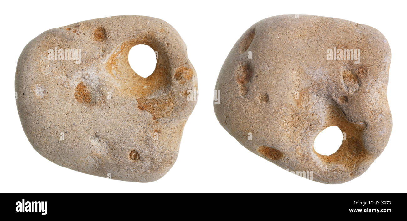 A small sea stone with a hole is called Chicken God and brings good ...