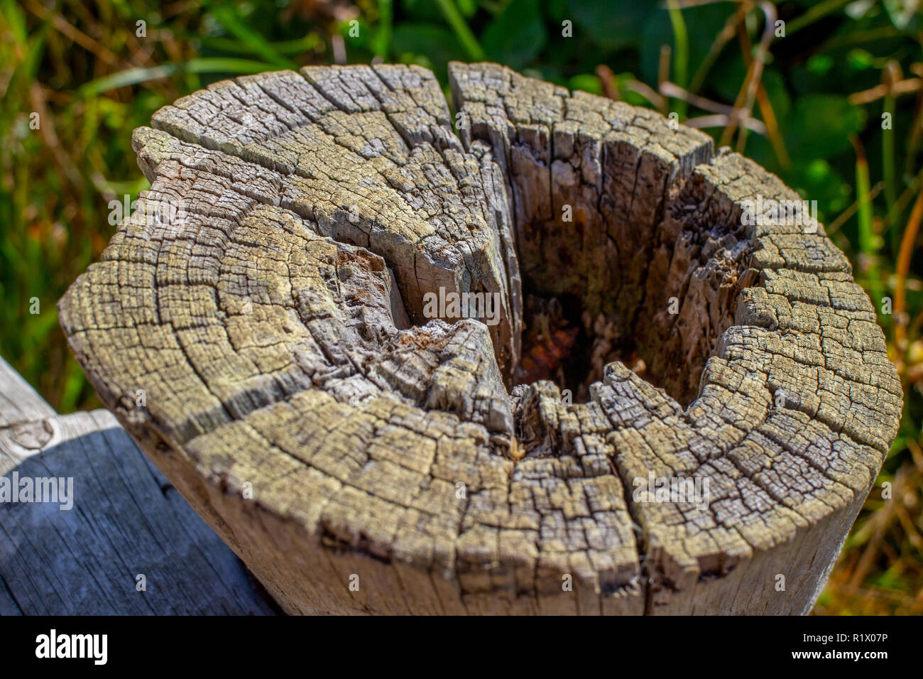 Old wooden fence post Stock Photo - Alamy