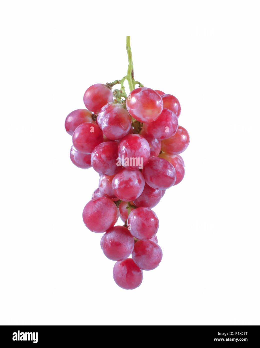 red grapes isolated on white background Stock Photo - Alamy