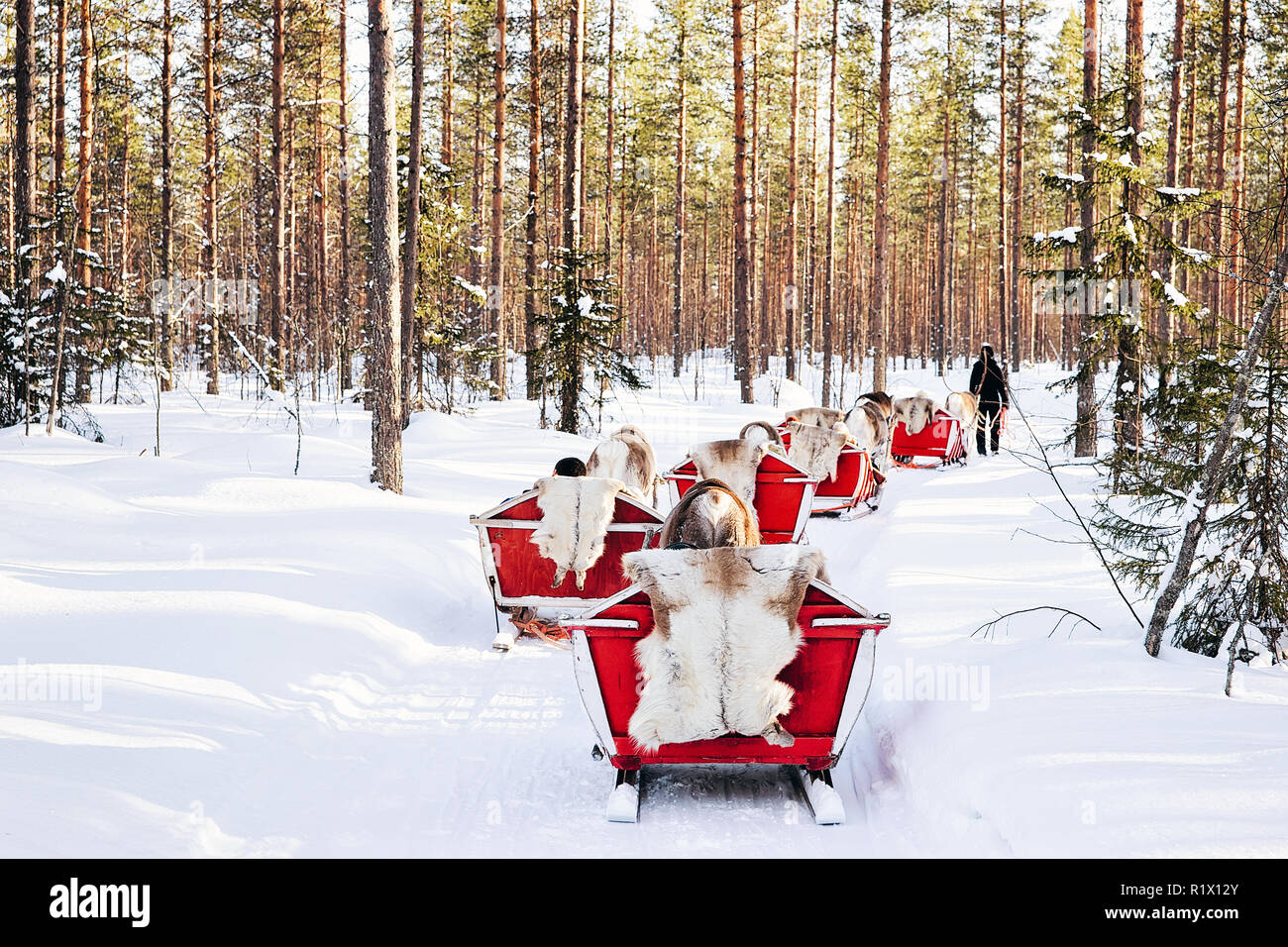 Reindeer sled in Finland in Lapland in winter Stock Photo - Alamy