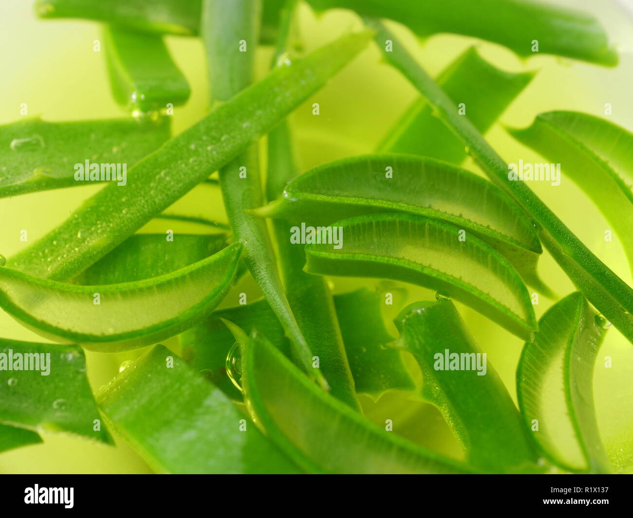 cut aloe leaf in syrup Stock Photo - Alamy