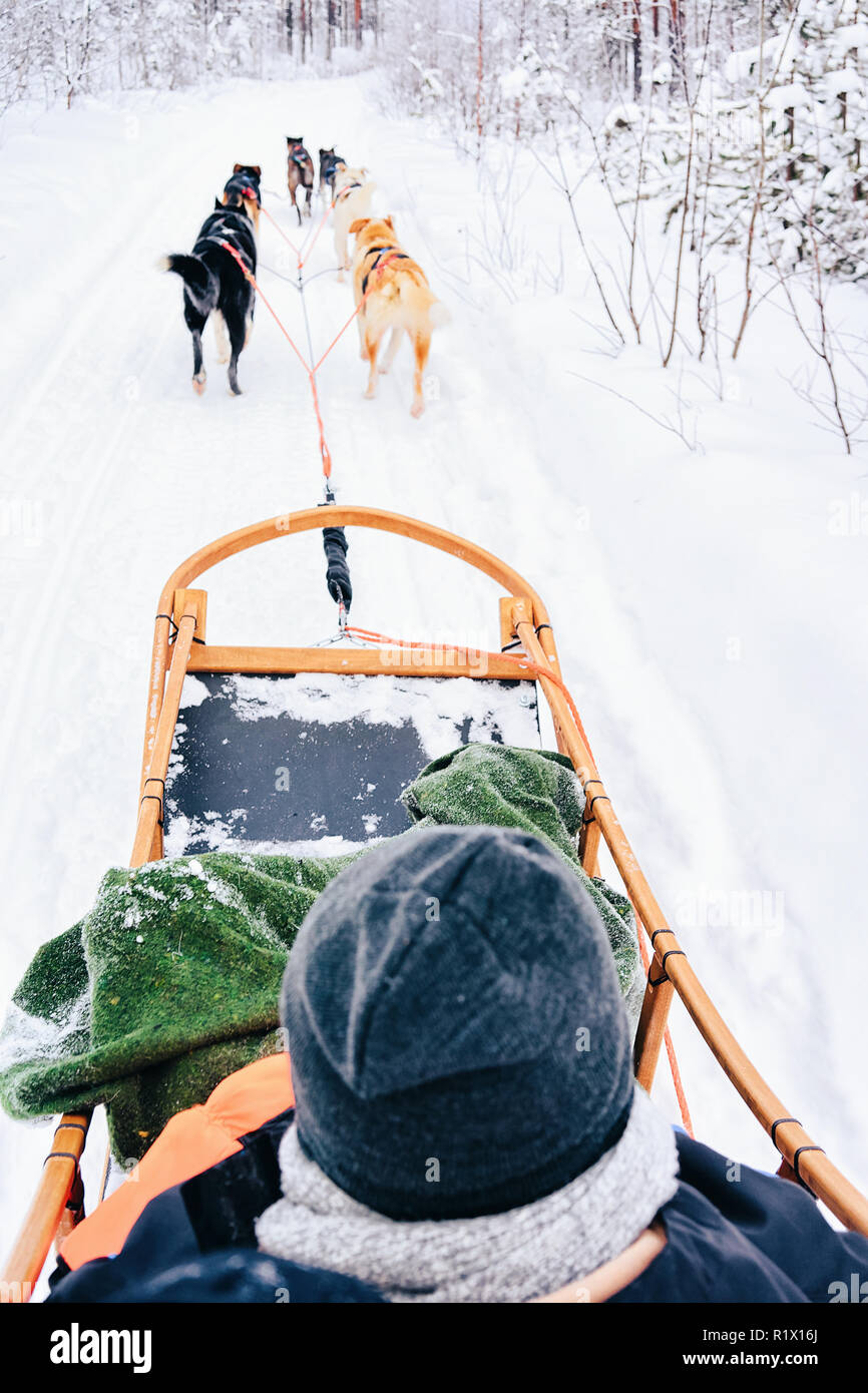 Man riding dog sled team hi-res stock photography and images - Alamy