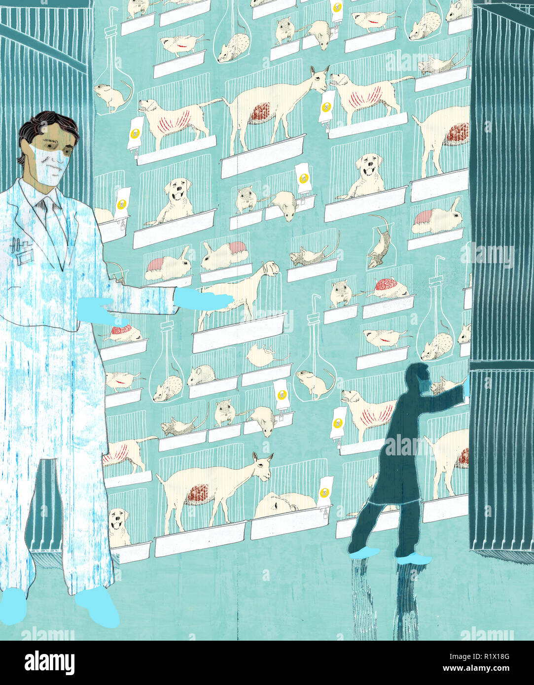 Animal testing rabbit hi-res stock photography and images - Alamy