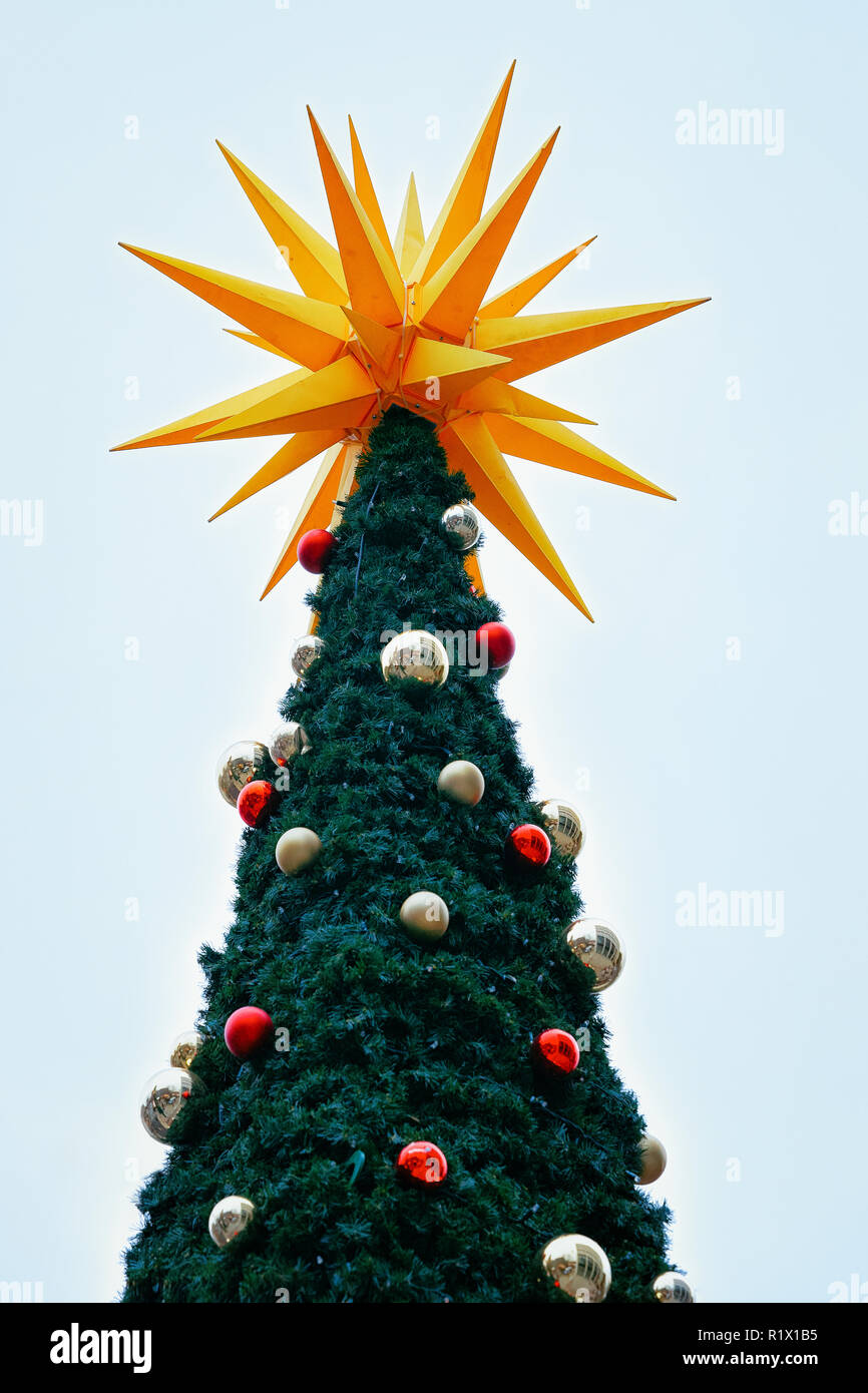 Christmas Tree near Market at Kaiser Wilhelm Memorial Church in Winter ...