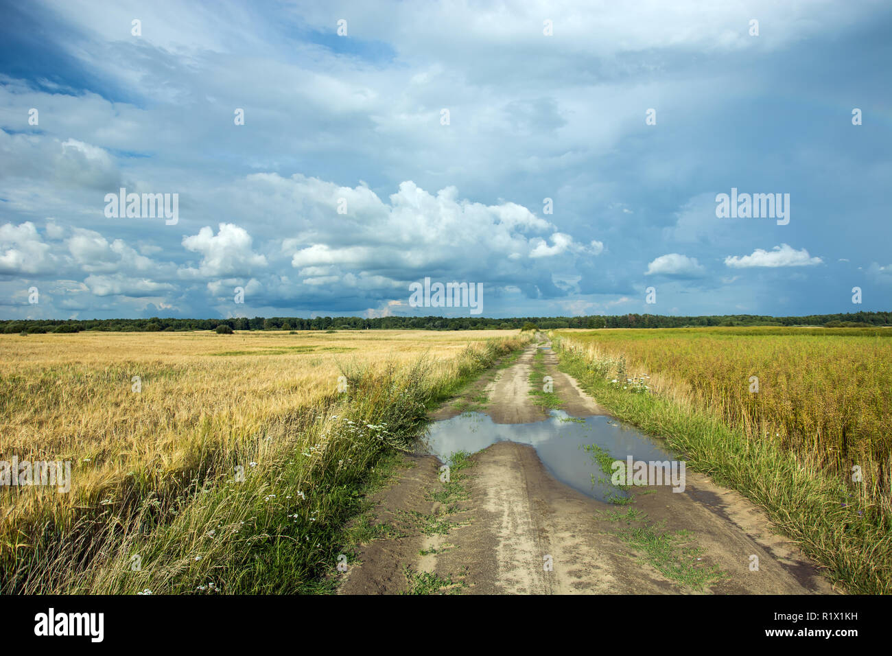 Puddle field hi-res stock photography and images - Alamy