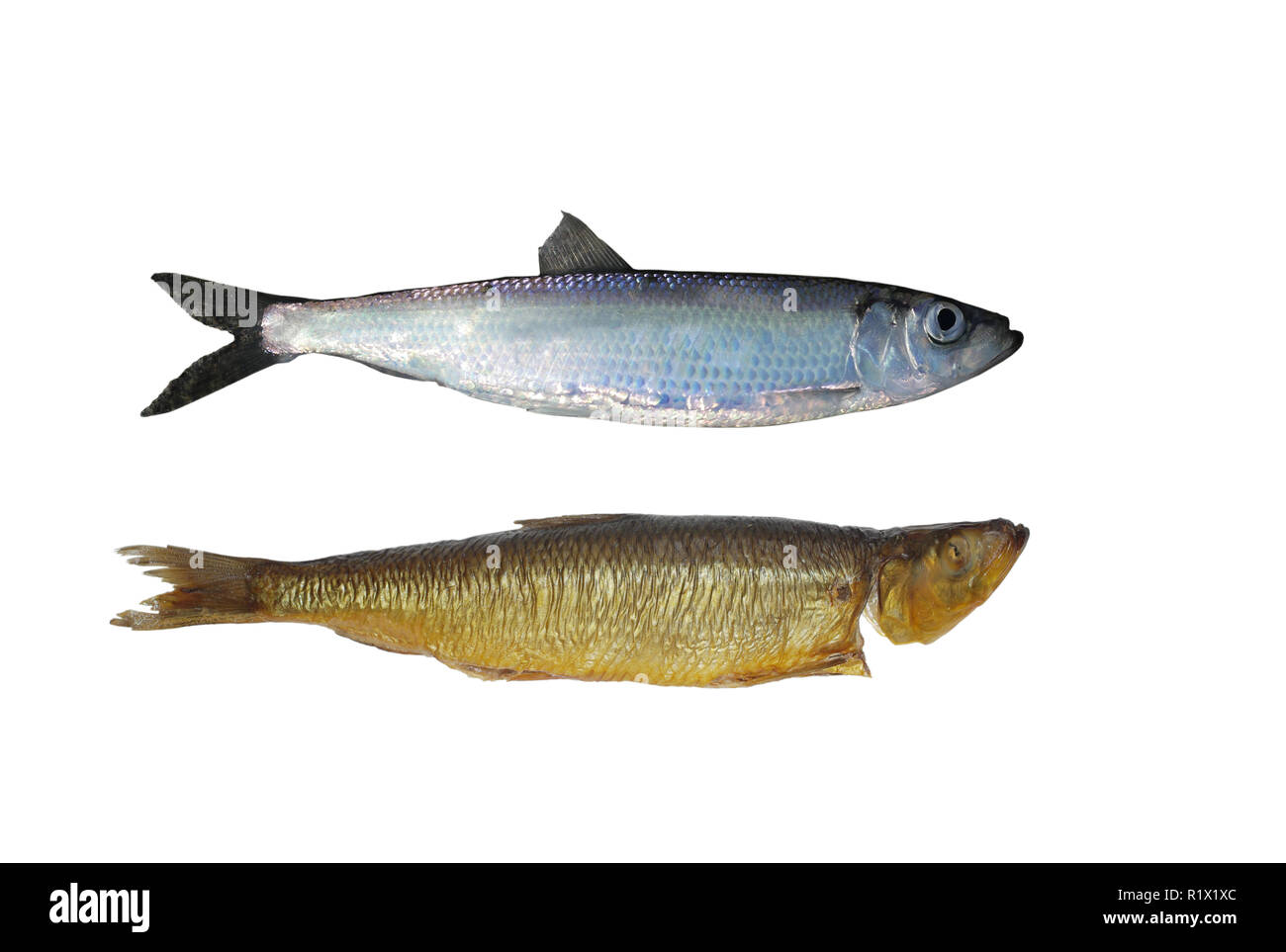 Smoked herring hi-res stock photography and images - Alamy