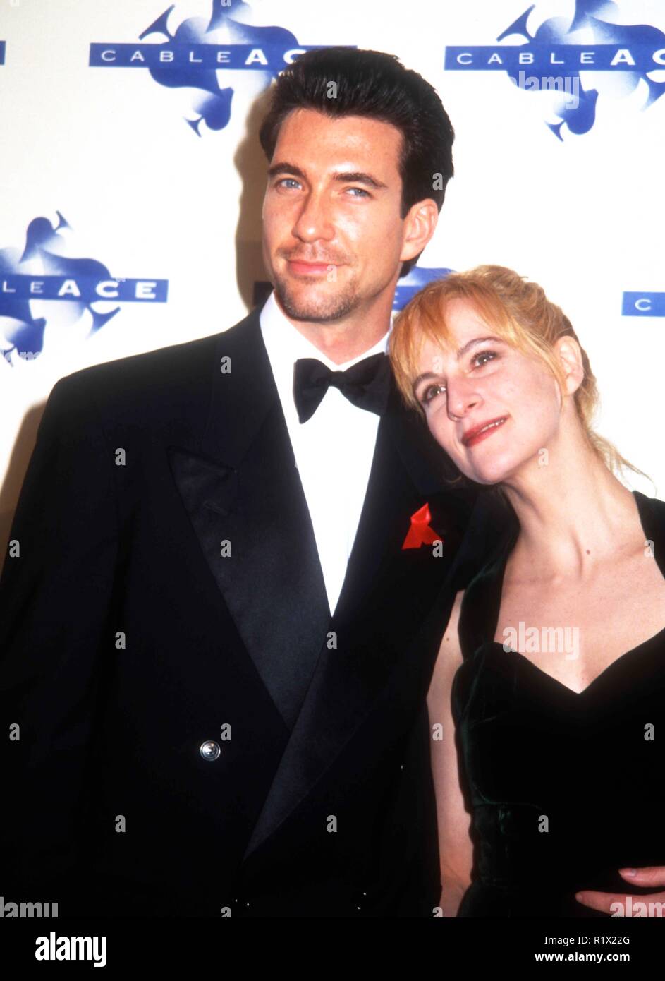 HOLLYWOOD, CA - JANUARY 17: (L-R) Actress Dylan McDermott and actress ...