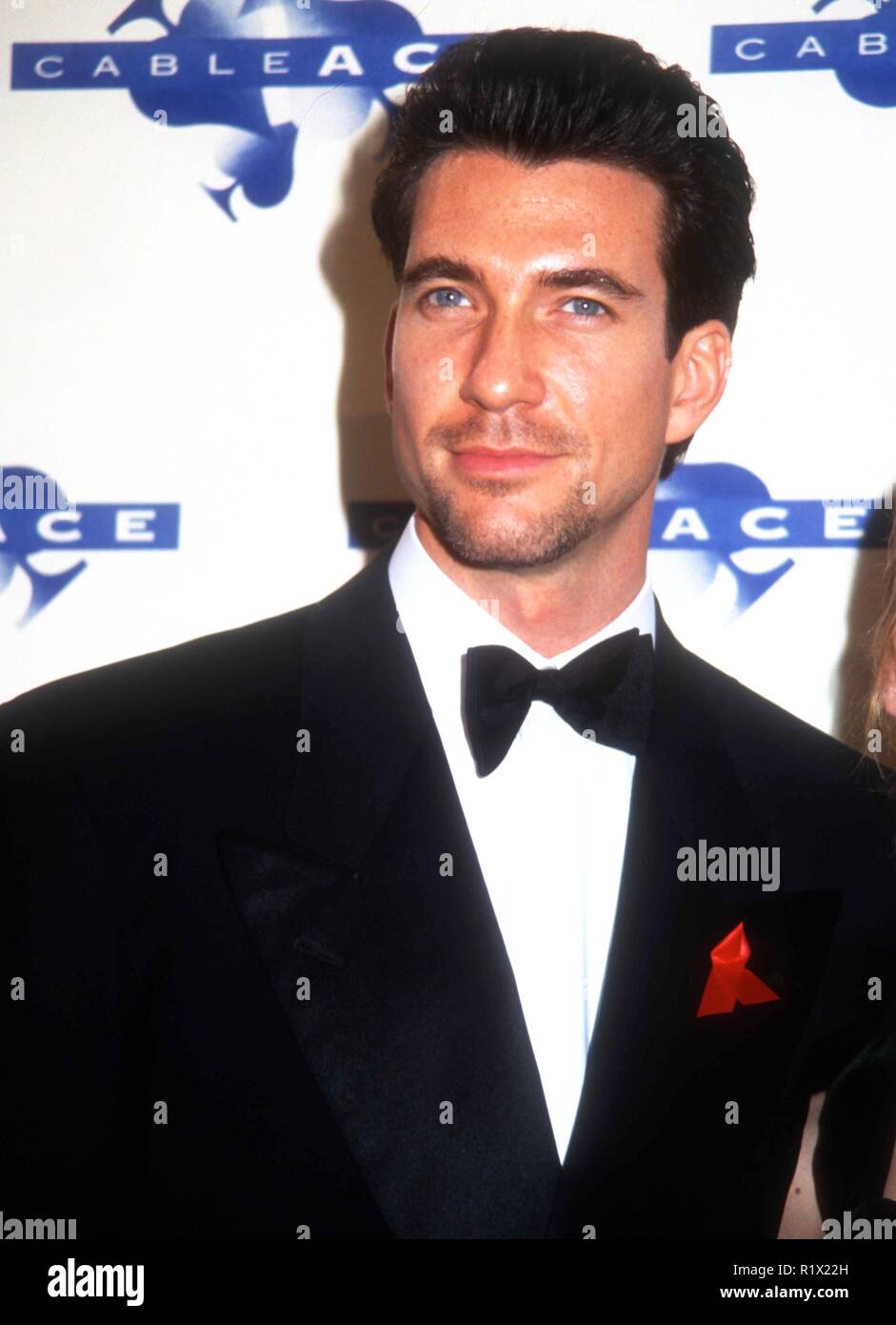 HOLLYWOOD, CA - JANUARY 17: Actor Dylan McDermott attends the 14th ...