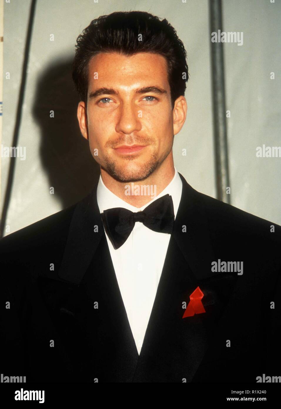 HOLLYWOOD, CA - JANUARY 17: Actor Dylan McDermott attends the 14th ...