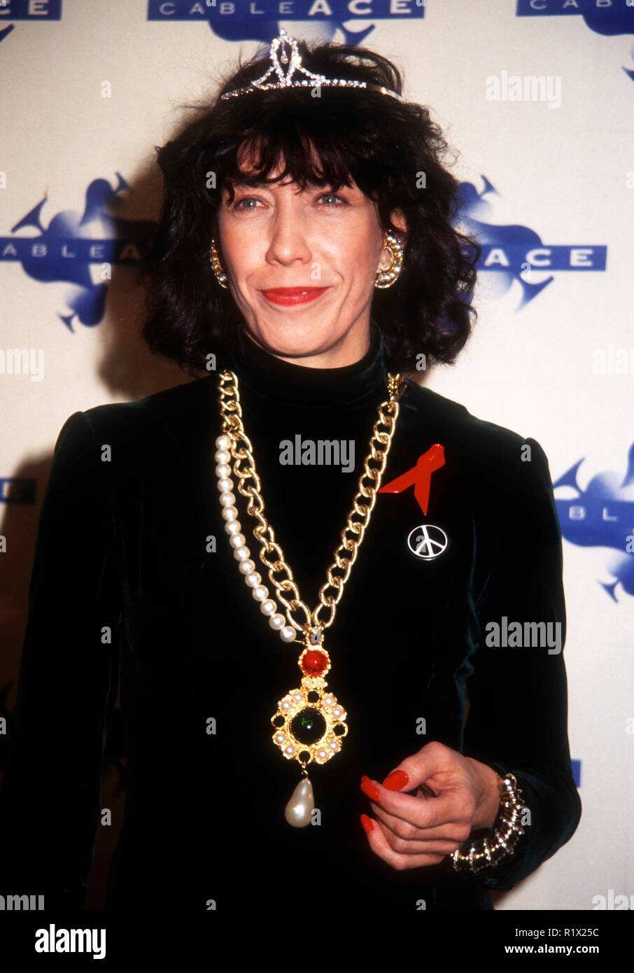 HOLLYWOOD, CA - JANUARY 17: Actress Lily Tomlin attends the 14th Annual ...
