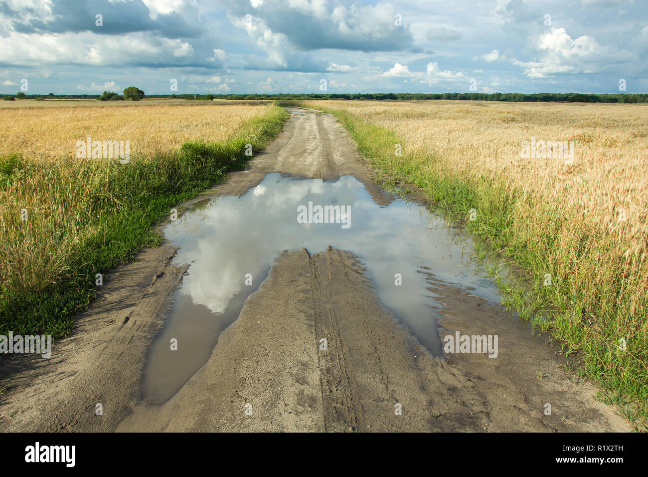 Large puddle on a dirt road through fields, horizon and clouds in the ...