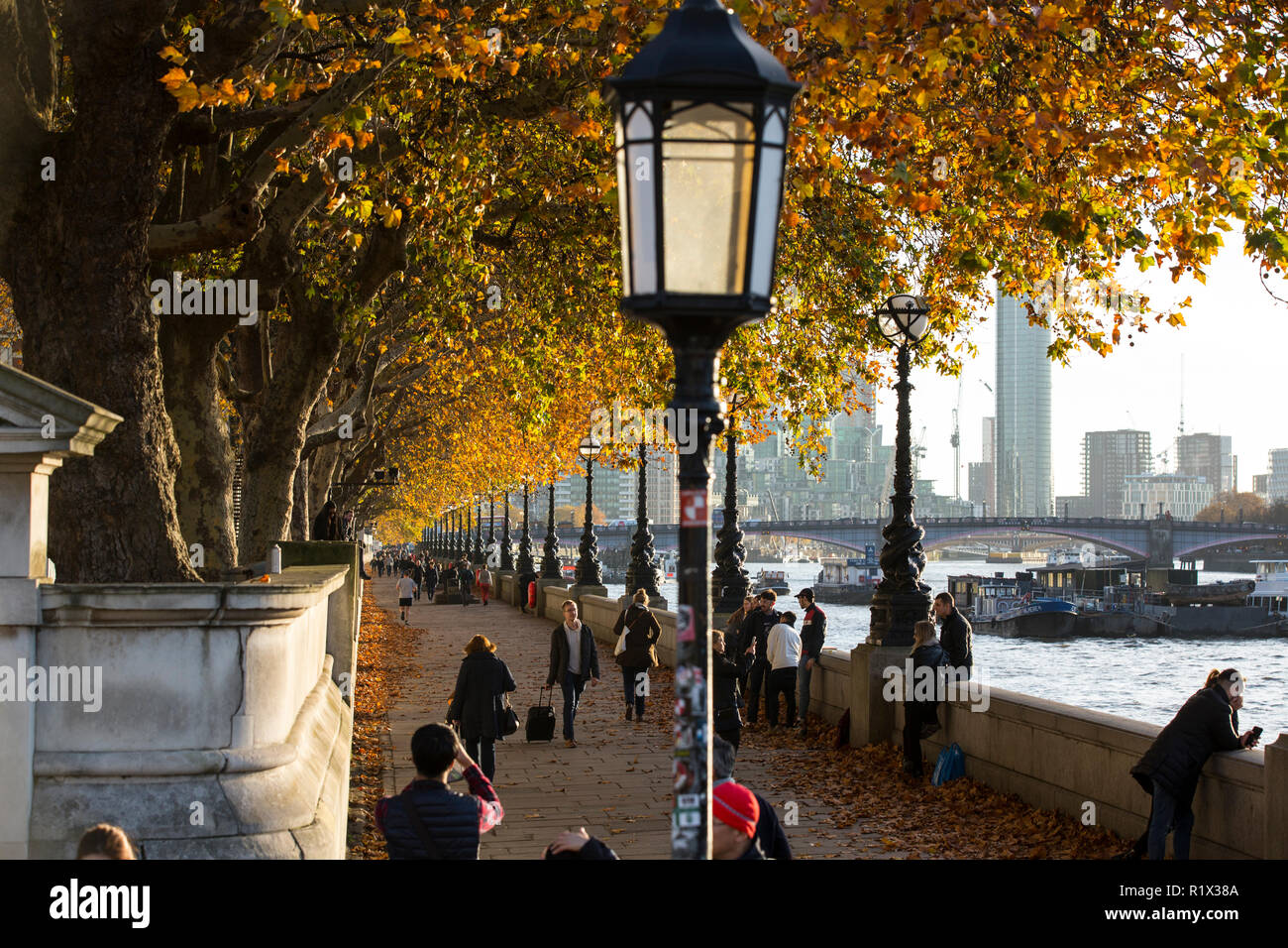 Autumn colours along the footpath on the South bank side of the River ...