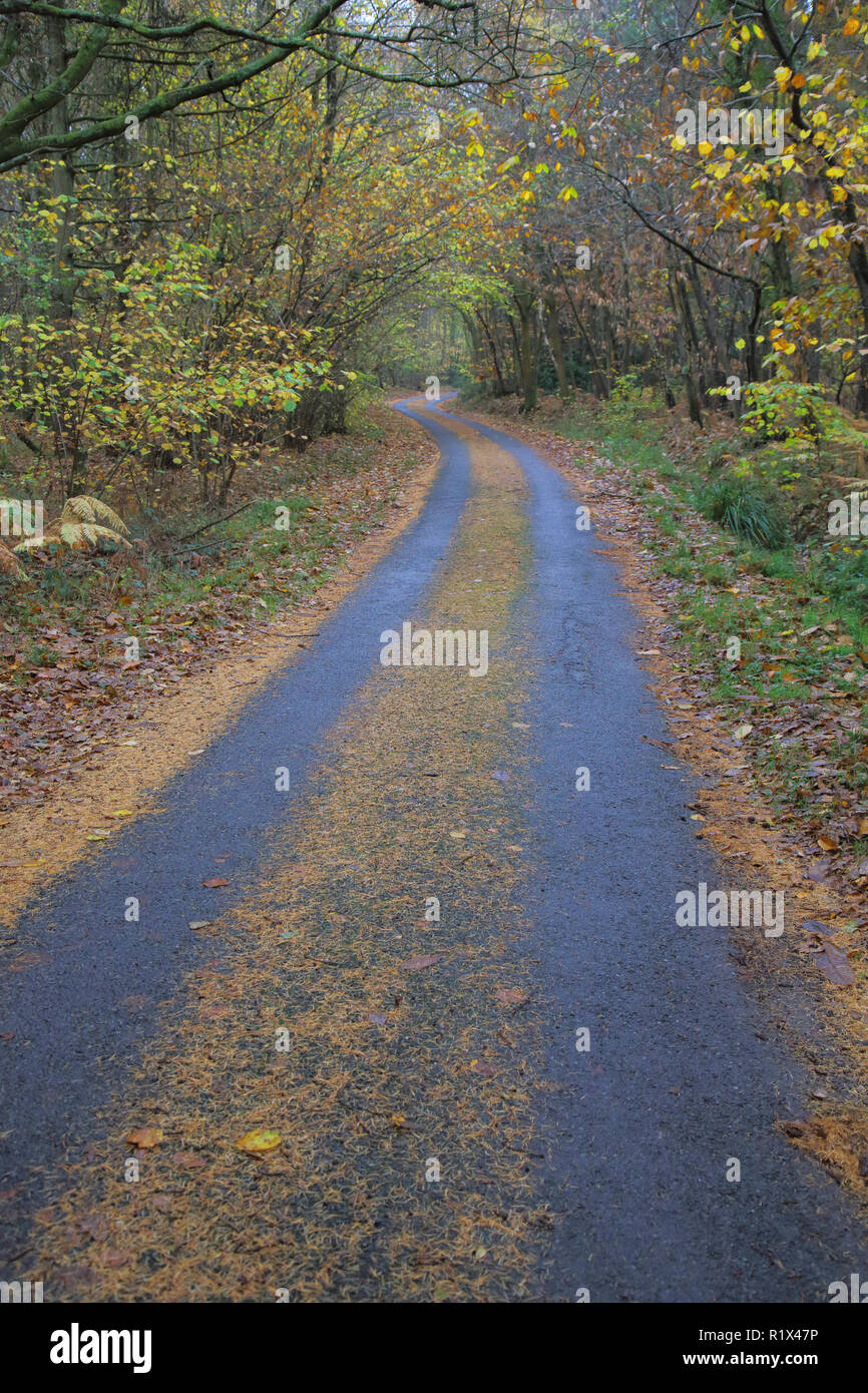 Binstead hi-res stock photography and images - Alamy