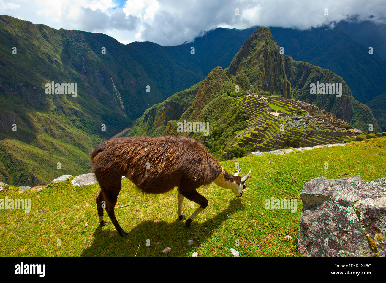 Matsu pitsu hi-res stock photography and images - Alamy