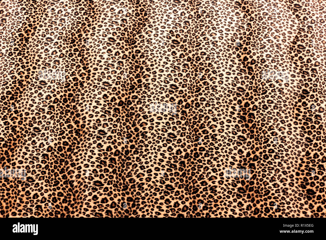 Leopard Skin High Resolution Stock Photography and Images - Alamy