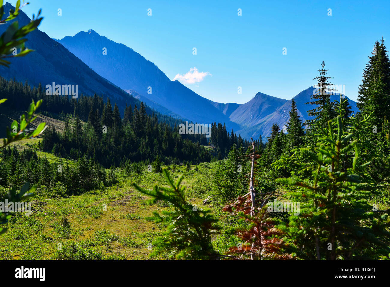 sunny warm day scenes in the mountains Stock Photo - Alamy
