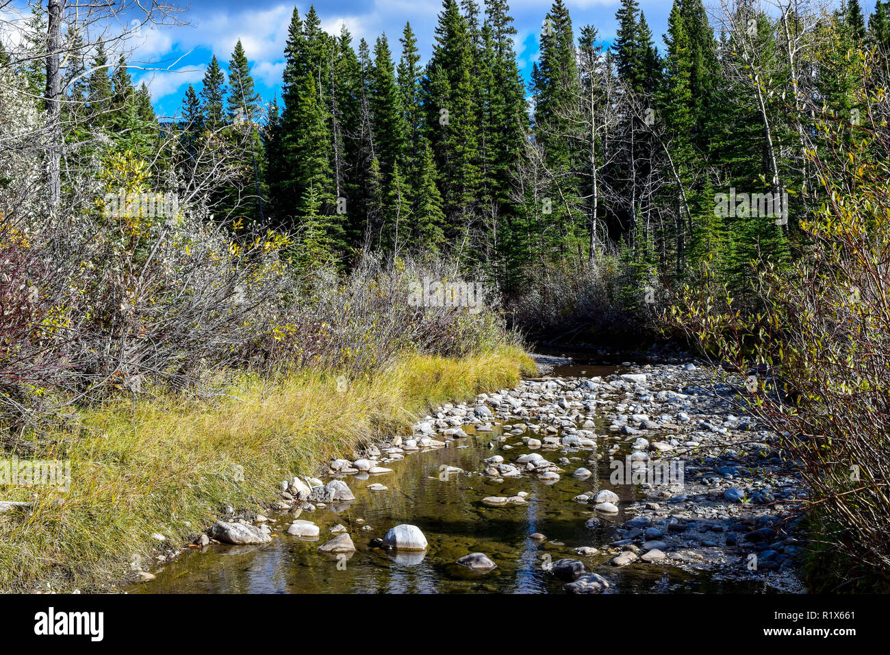 sunny warm day scenes in the mountains Stock Photo - Alamy