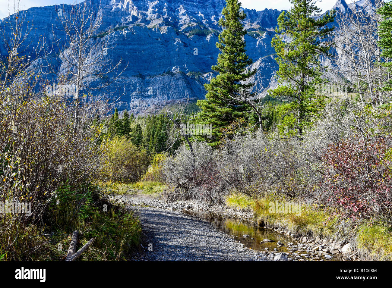 sunny warm day scenes in the mountains Stock Photo - Alamy
