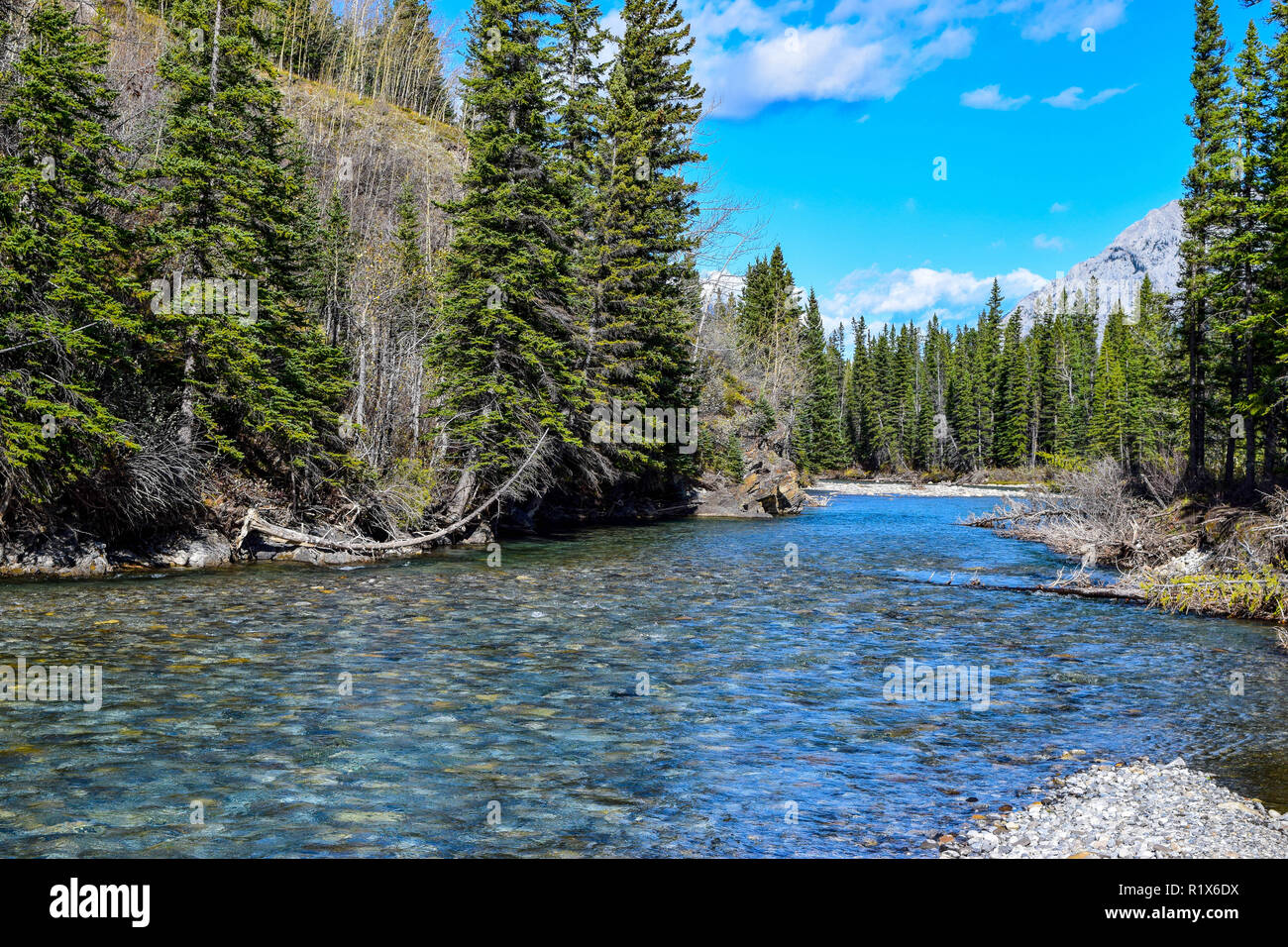 sunny warm day scenes in the mountains Stock Photo - Alamy